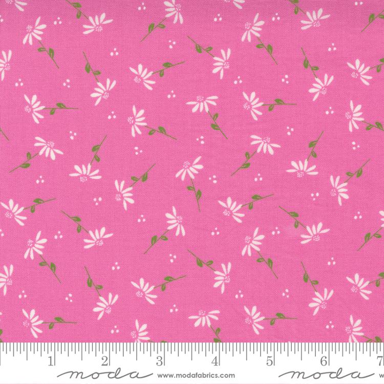 Sincerely Yours Petunia Dainty Daisy – Fabric Outlet
